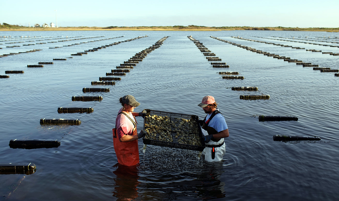 Shop Rhody Oysters – Matunuck Oyster Bar